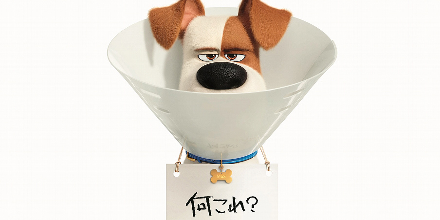 『ペット2』7月26日公開決定！日本版ティザーポスターが解禁！ムビチケ特典も発表 | Fan's Voice | ファンズボイス
