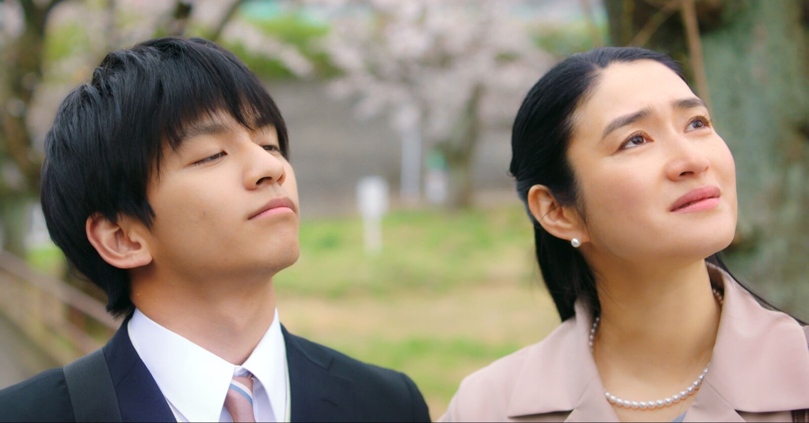 小雪 × 田中偉登『桜色の風が咲く』予告編＆新場面写真8点が解禁！ | Fan's Voice | ファンズボイス